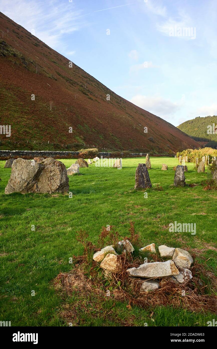 Stone circle and planted trees in the Sulby river valley, Isle of Man ...