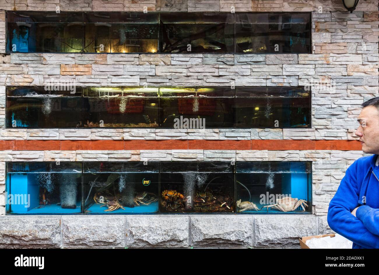 NEW YORK, USA - Apr 28, 2016: Manhattan street scene. Crabs in the aquarium at Chinatown food ...