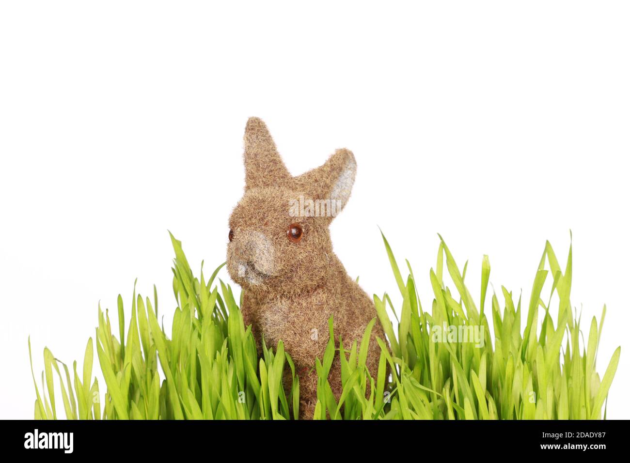 Closeup shot of rabbit stuffed toy on green grass isolated on white ...