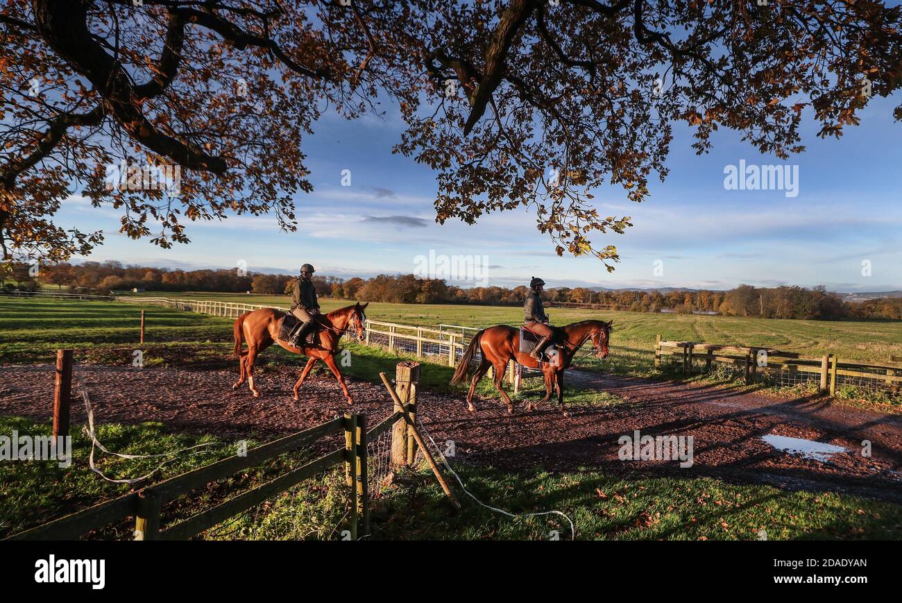 Horses from Sam Drinkwater's Granary Stables in Upper Strensham return ...
