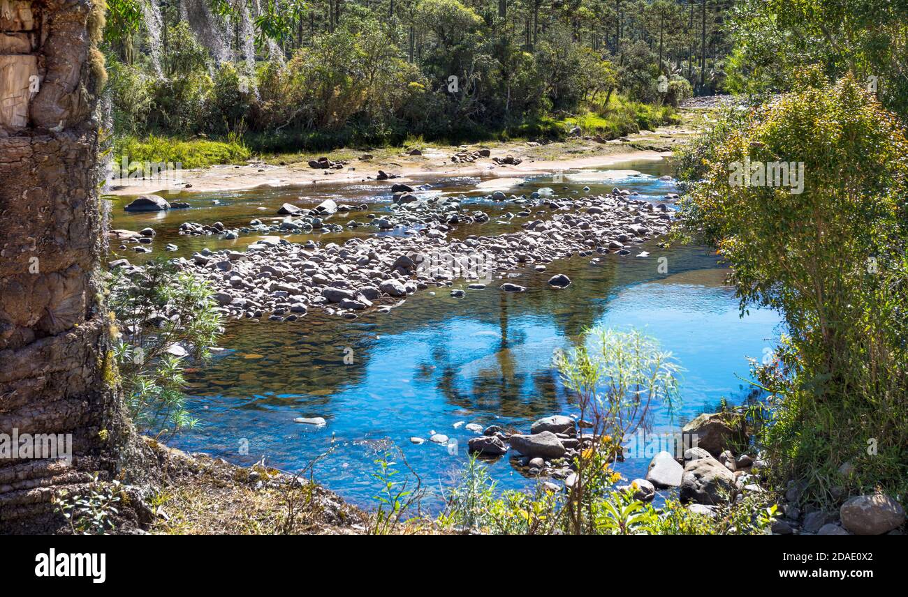 Breathtaking view of a river in the forest captured in Brazil Stock ...