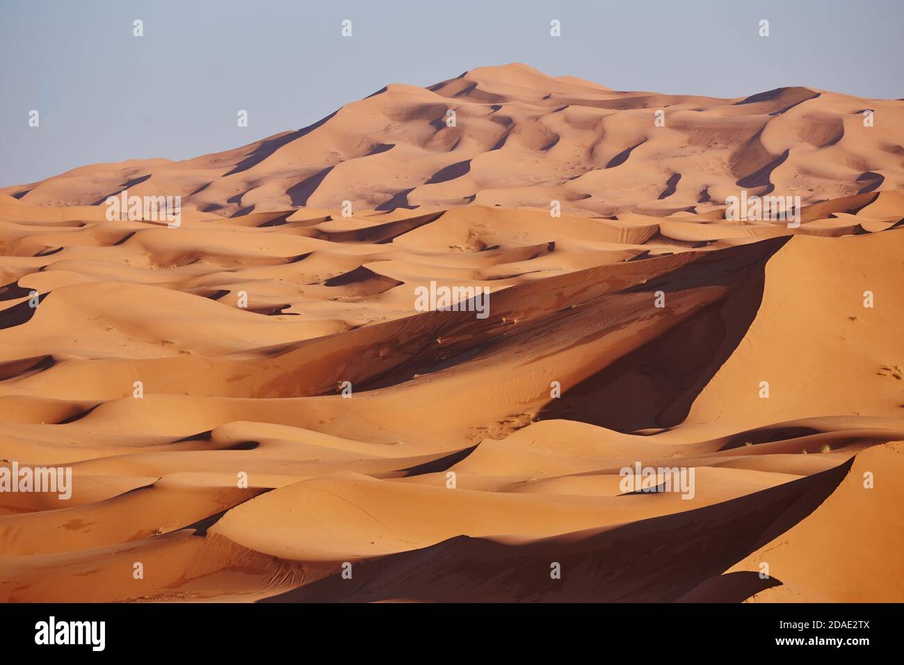 Endless Sands of the Sahara desert. Beautiful sunset over sand dunes of ...