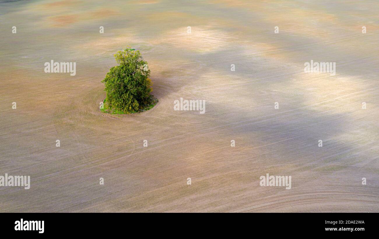 top down view of rural area with freshly cultivated field, green and ...