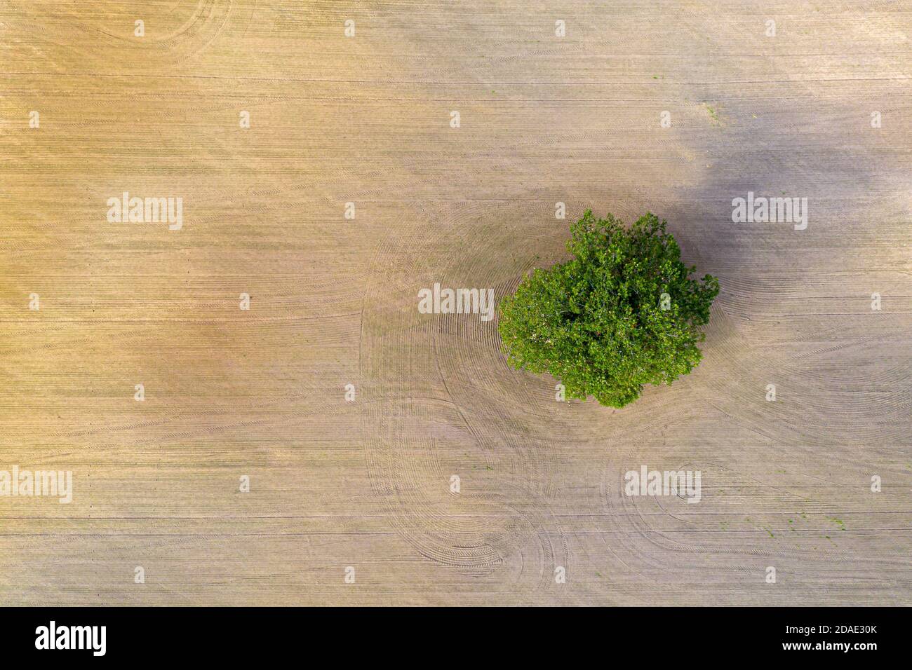 top down view of rural area with freshly cultivated field, green and ...