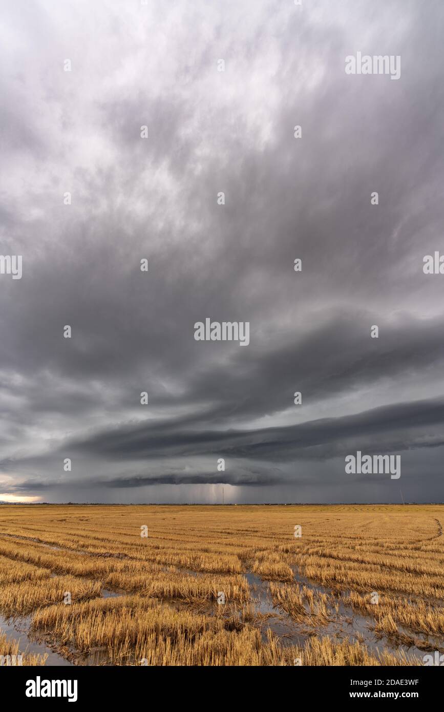 Dark storm over the flooded rice fields and antenna in Valencia Stock ...