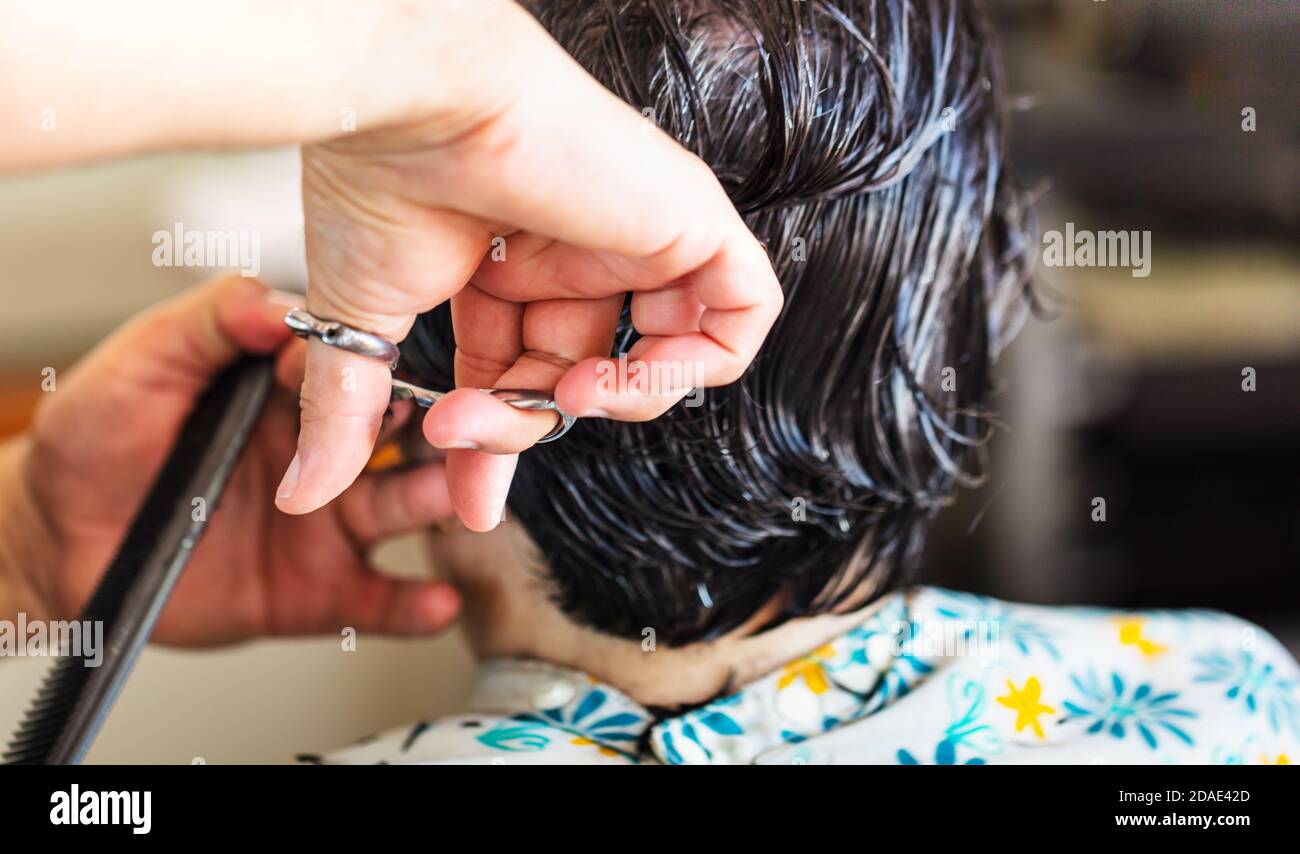 Professional female hairstylist cutting hi-res stock photography and ...