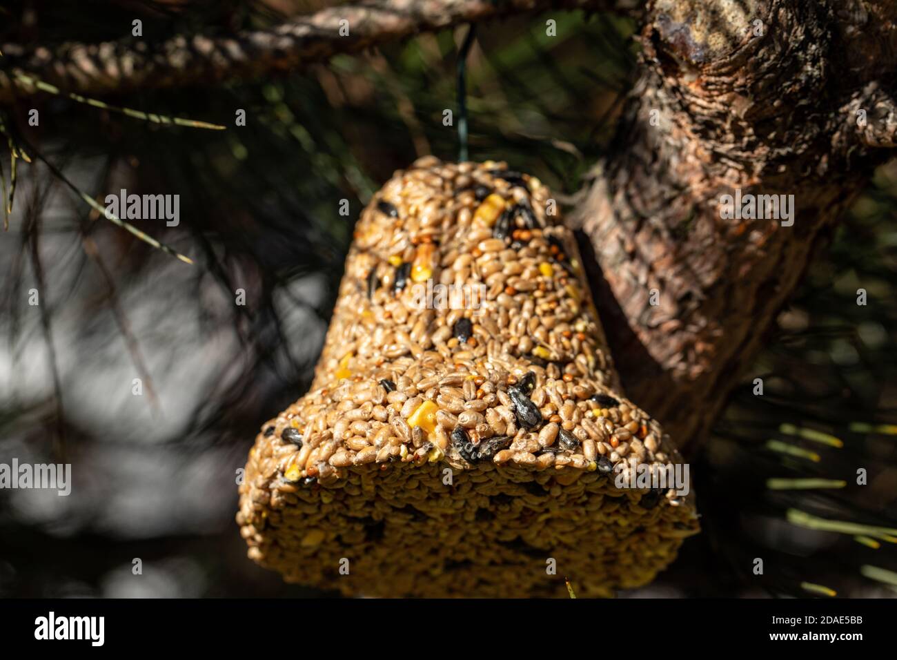 Bell from various grains, a delicacy for all the birds in the garden ...