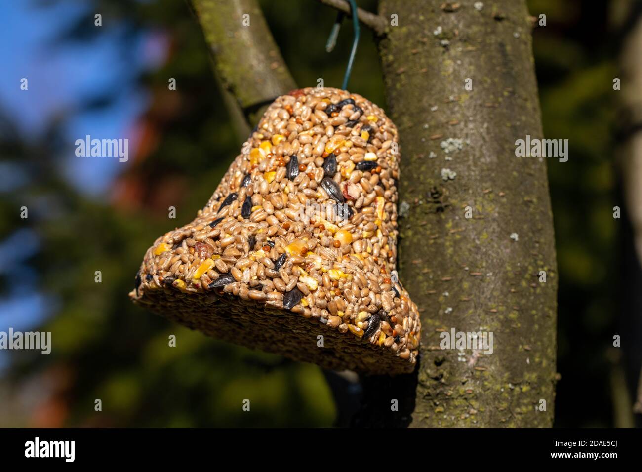 Bell from various grains, a delicacy for all the birds in the garden ...