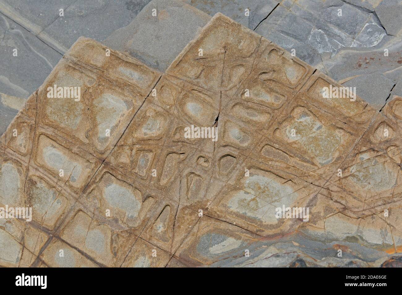Patterns in the sedimentary rocks at Sandymouth Cornwall Stock Photo ...
