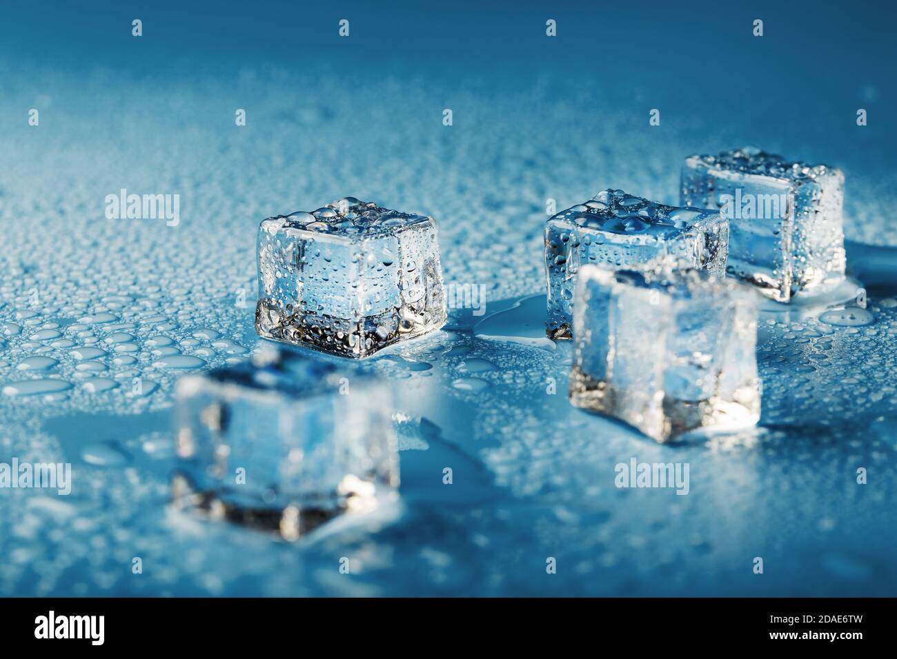 Close-up ice cubes with melt water drops scattered on a blue background ...