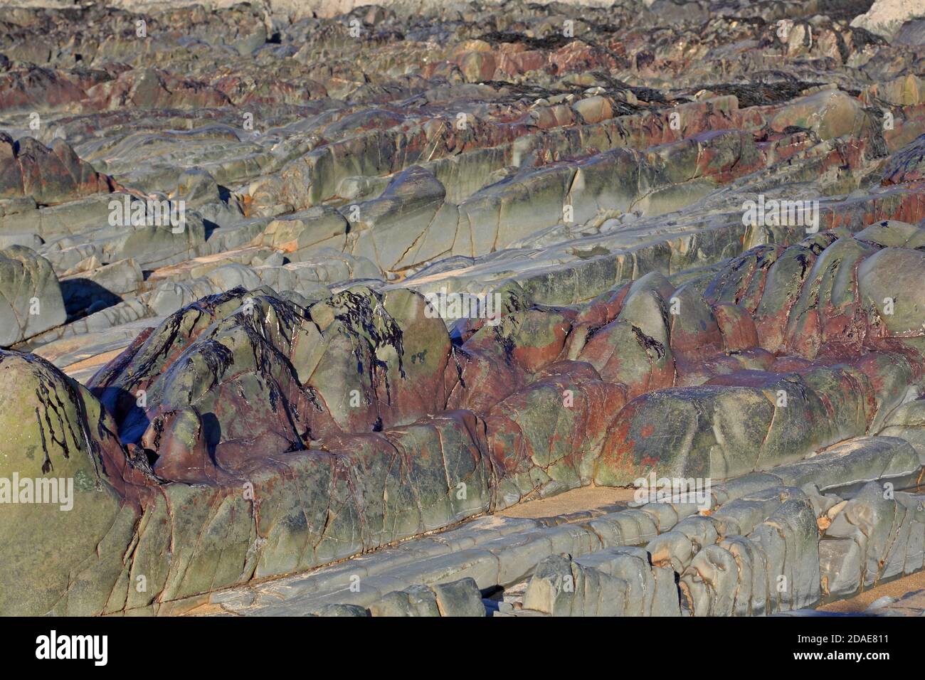 Coloured Rock Ledges on Sandymouth beach in Cornwall Stock Photo - Alamy