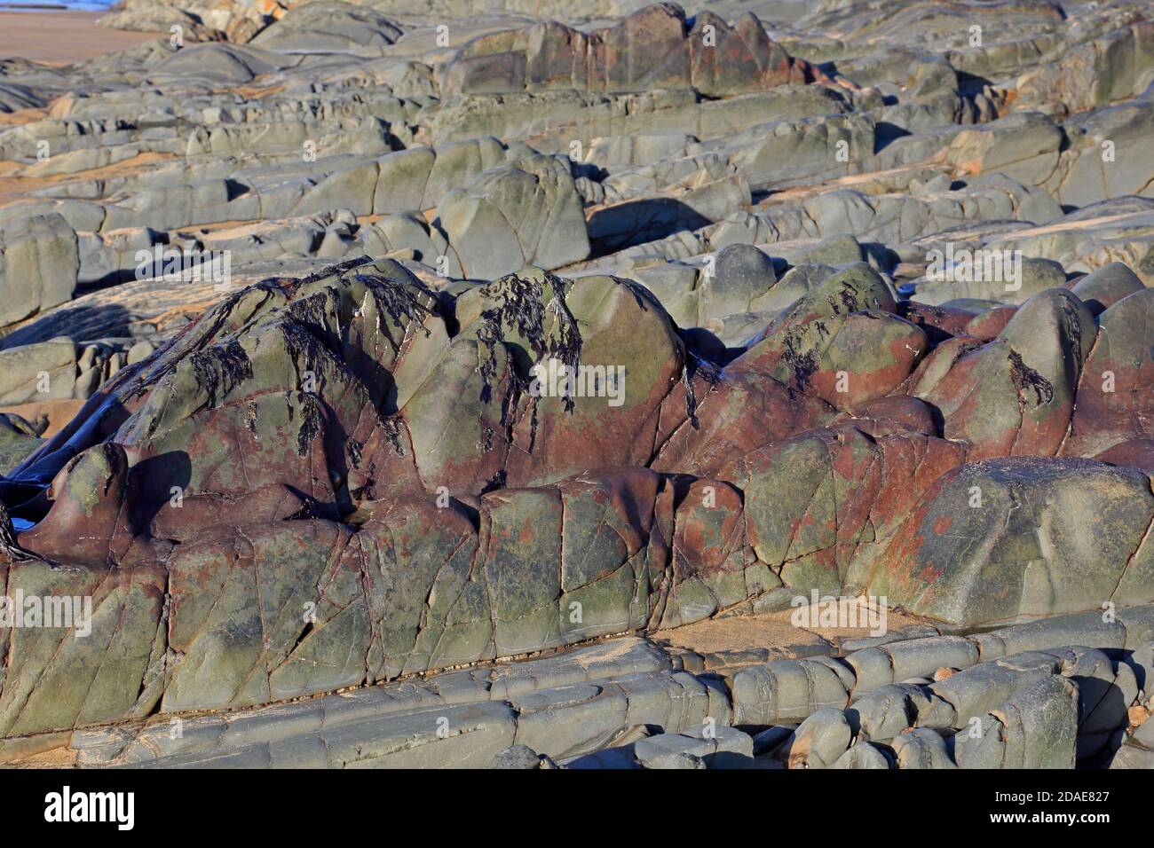 Coloured Rock Ledges on Sandymouth beach in Cornwall Stock Photo - Alamy