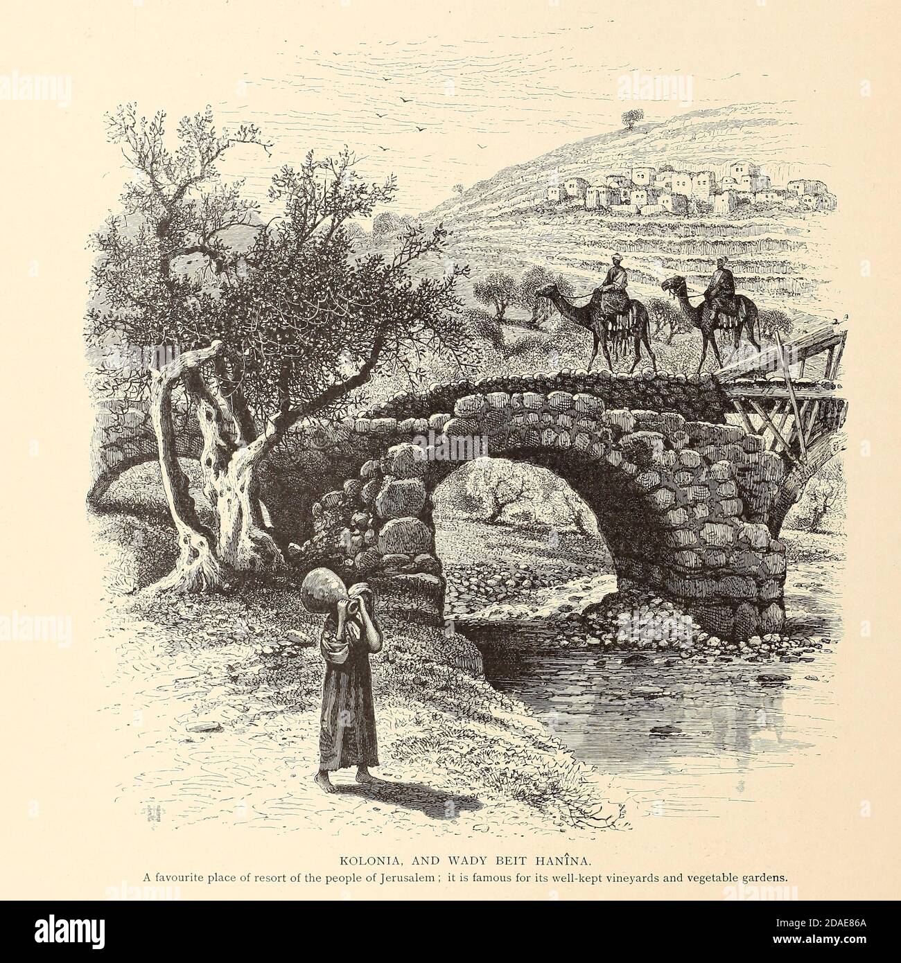 Kolonia, and Wady [Wadi] Beit Hanina, favourtie place of resort of the ...