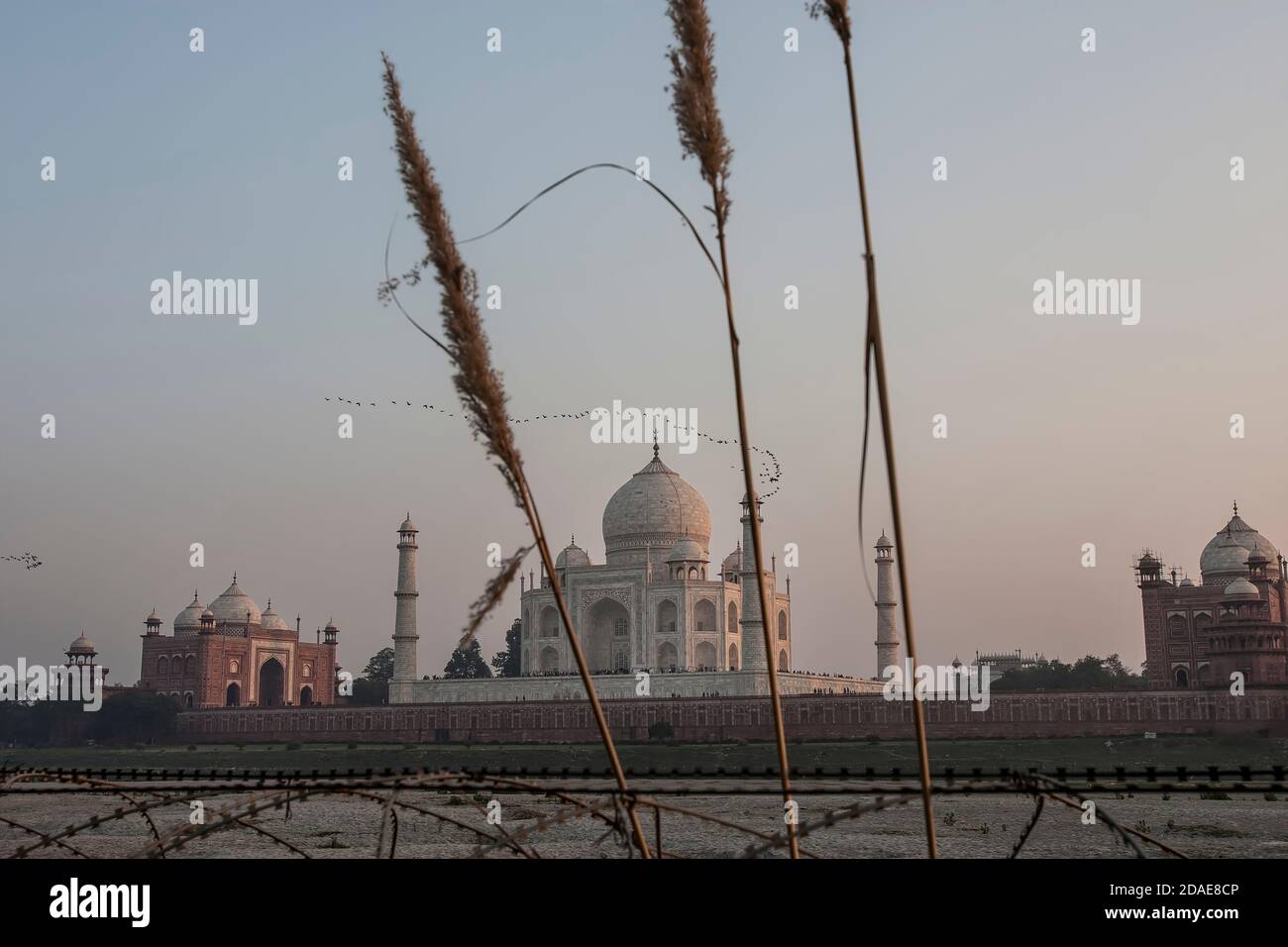Sha jahan mumtaz mahal hi-res stock photography and images - Alamy