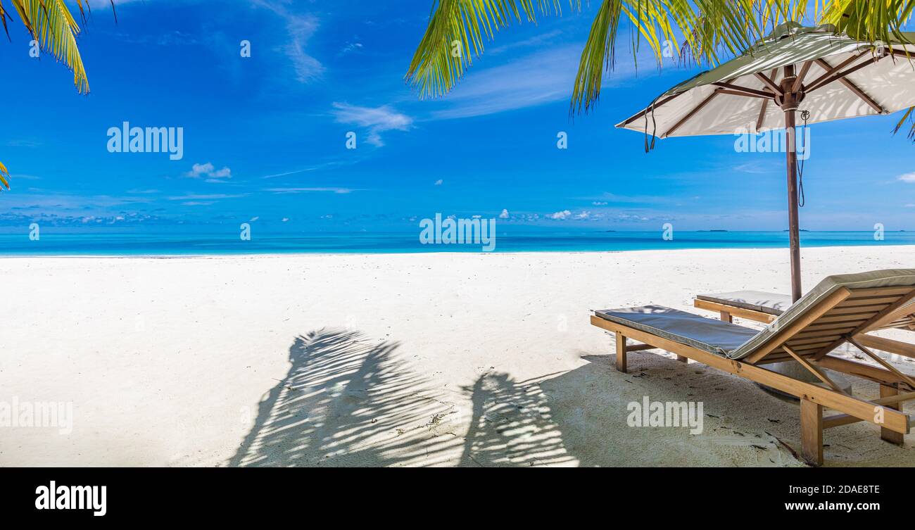 Beautiful tropical beach banner. White sand and coco palms travel ...