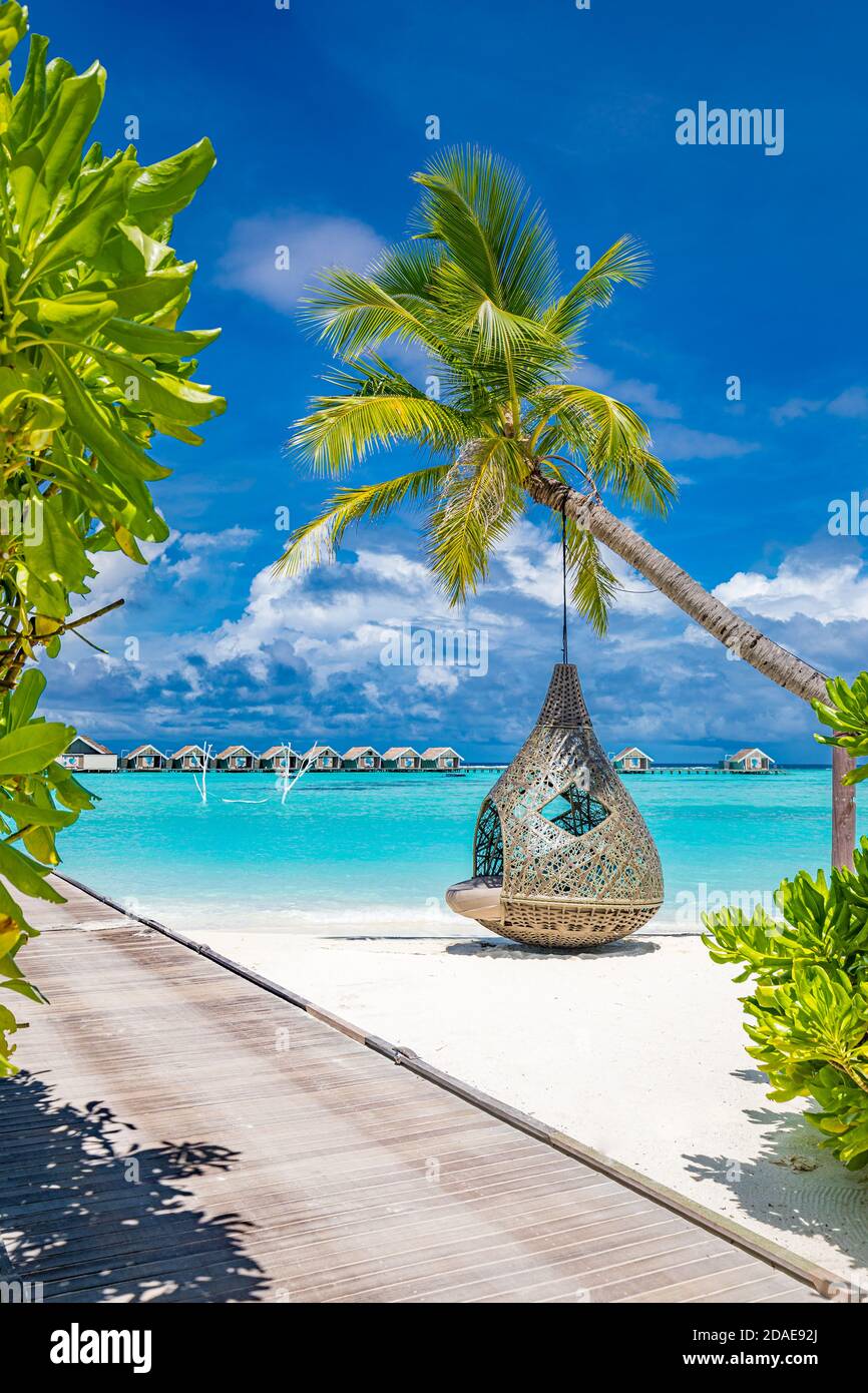 Luxury tropical beach background as summer landscape with beach swing ...