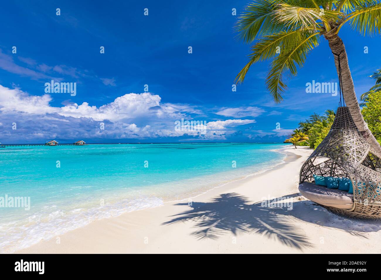 Luxury tropical beach background as summer landscape with beach swing ...