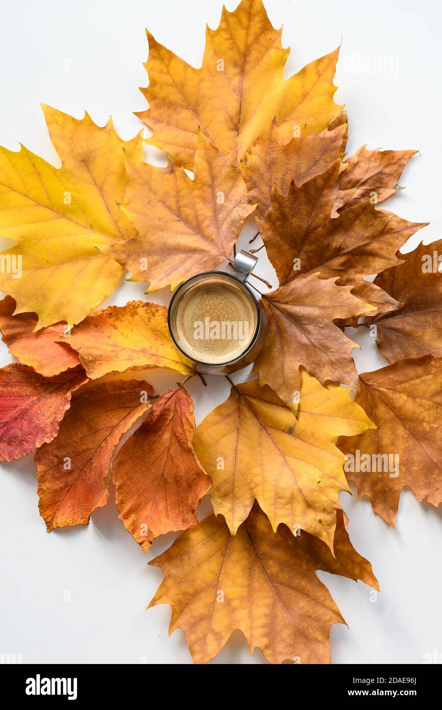 Coffee and yellow dry leaves Stock Photo - Alamy