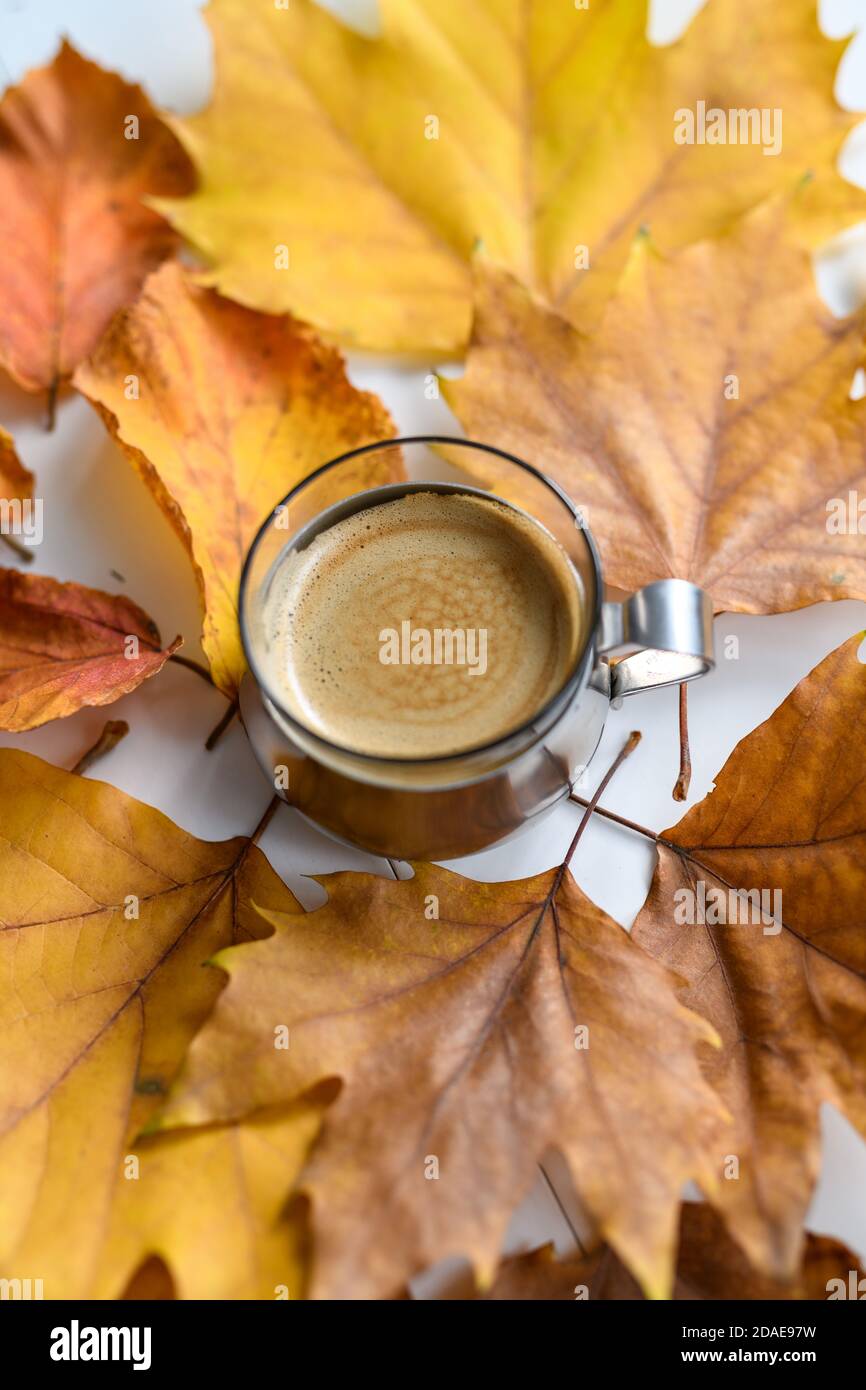 Strong leaves hi-res stock photography and images - Alamy