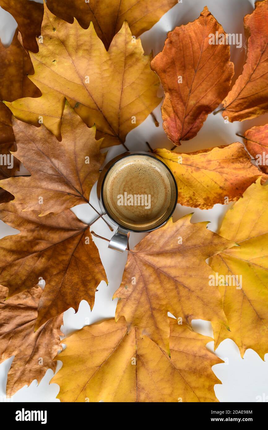 Coffee and yellow dry leaves Stock Photo - Alamy