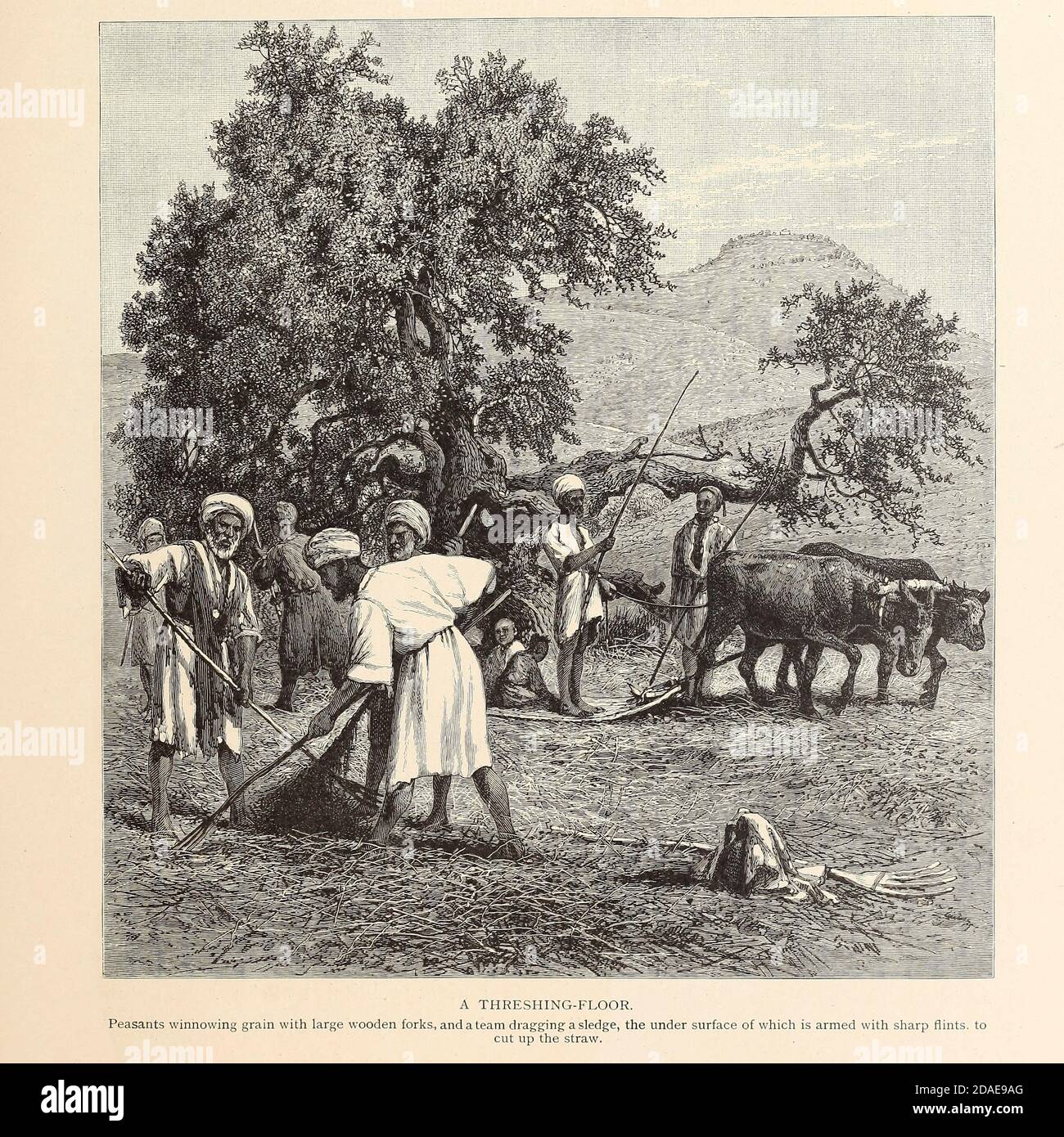 Threshing sledge hi-res stock photography and images - Alamy