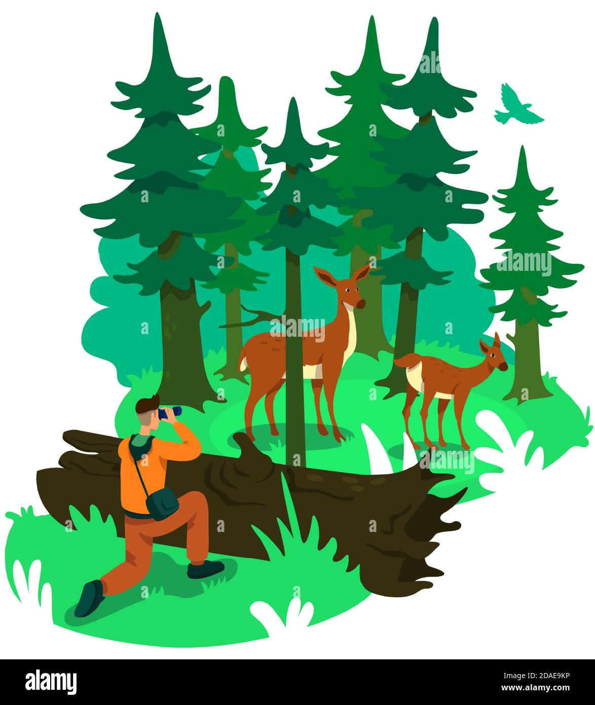 Photography in forest 2D vector web banner, poster Stock Vector Image ...