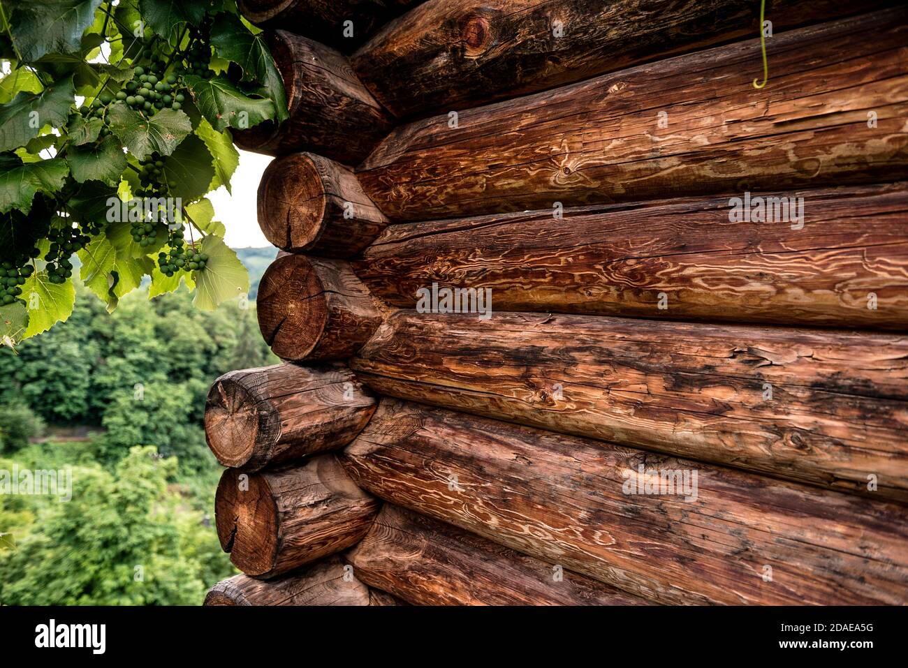 Log Cabin Structure Stock Photo - Alamy
