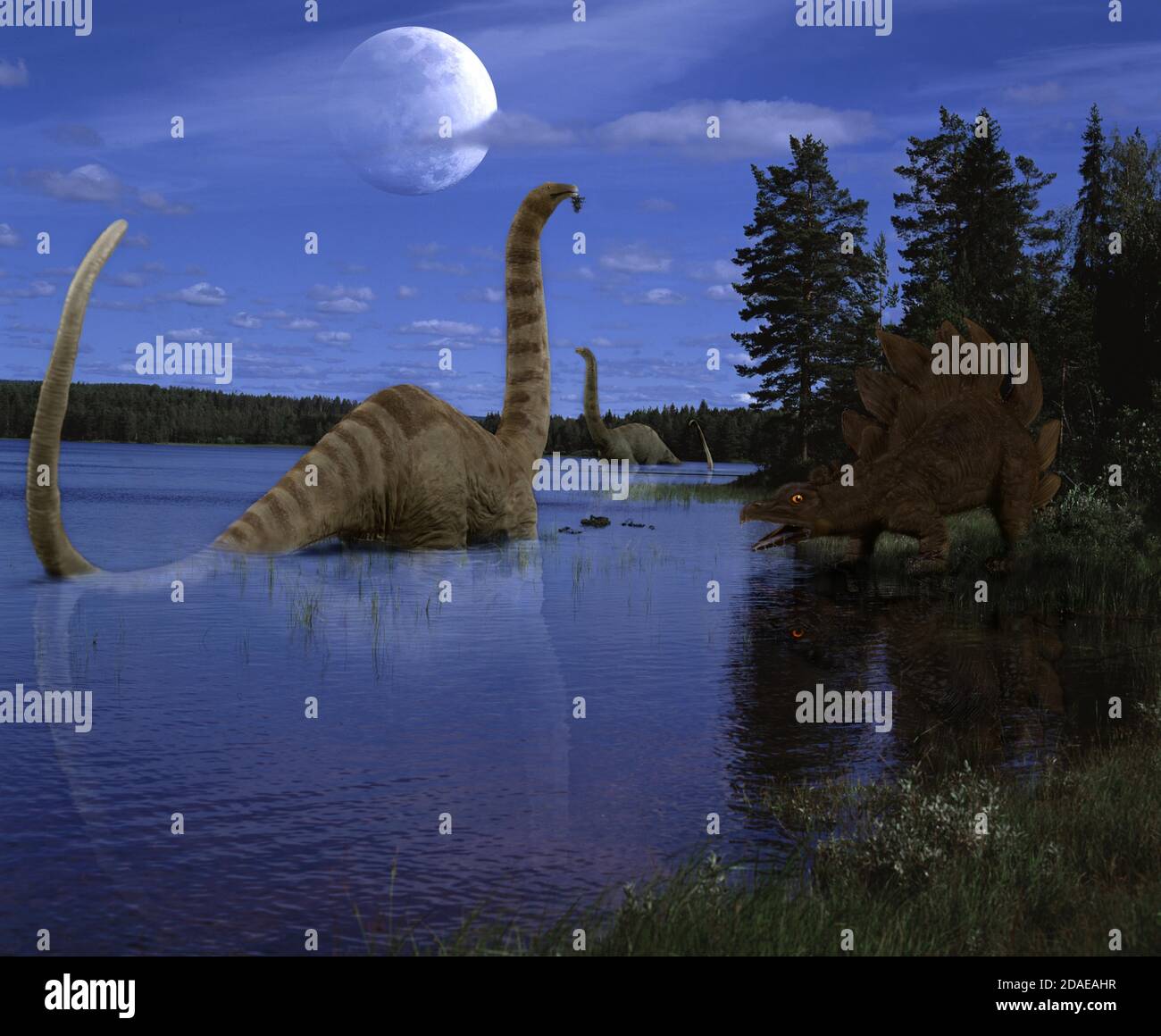 DIPLODOCUS, GIGANTIC HERBIVOROUS SAUROPODS FROM LATE JURASSIC PERIOD ...