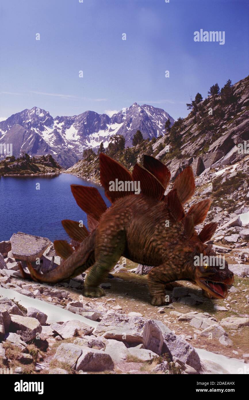 STEGOSAURUS, HERBIVOROUS DINOSAUR FROM LATE JURASSIC PERIOD Stock Photo ...