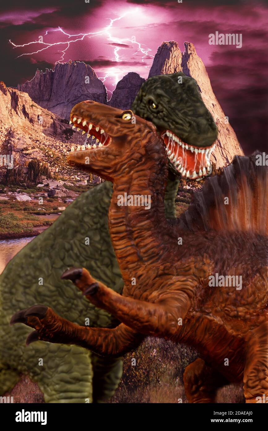 TYRANNOSAUR tyrannosaurus rex, PAIR FIGHTING Stock Photo - Alamy