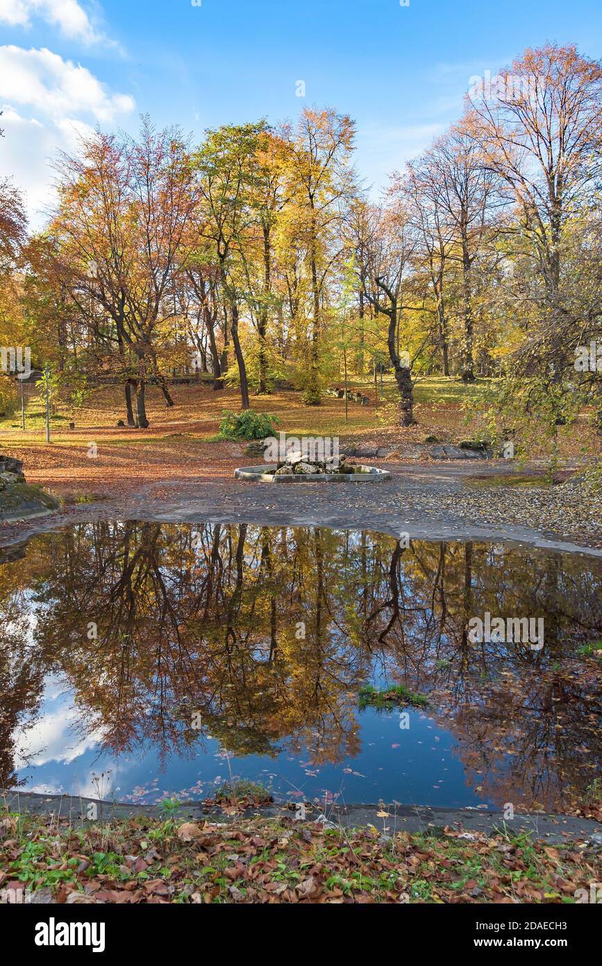 Bench in a park at colorful sunny autumn Stock Photo - Alamy