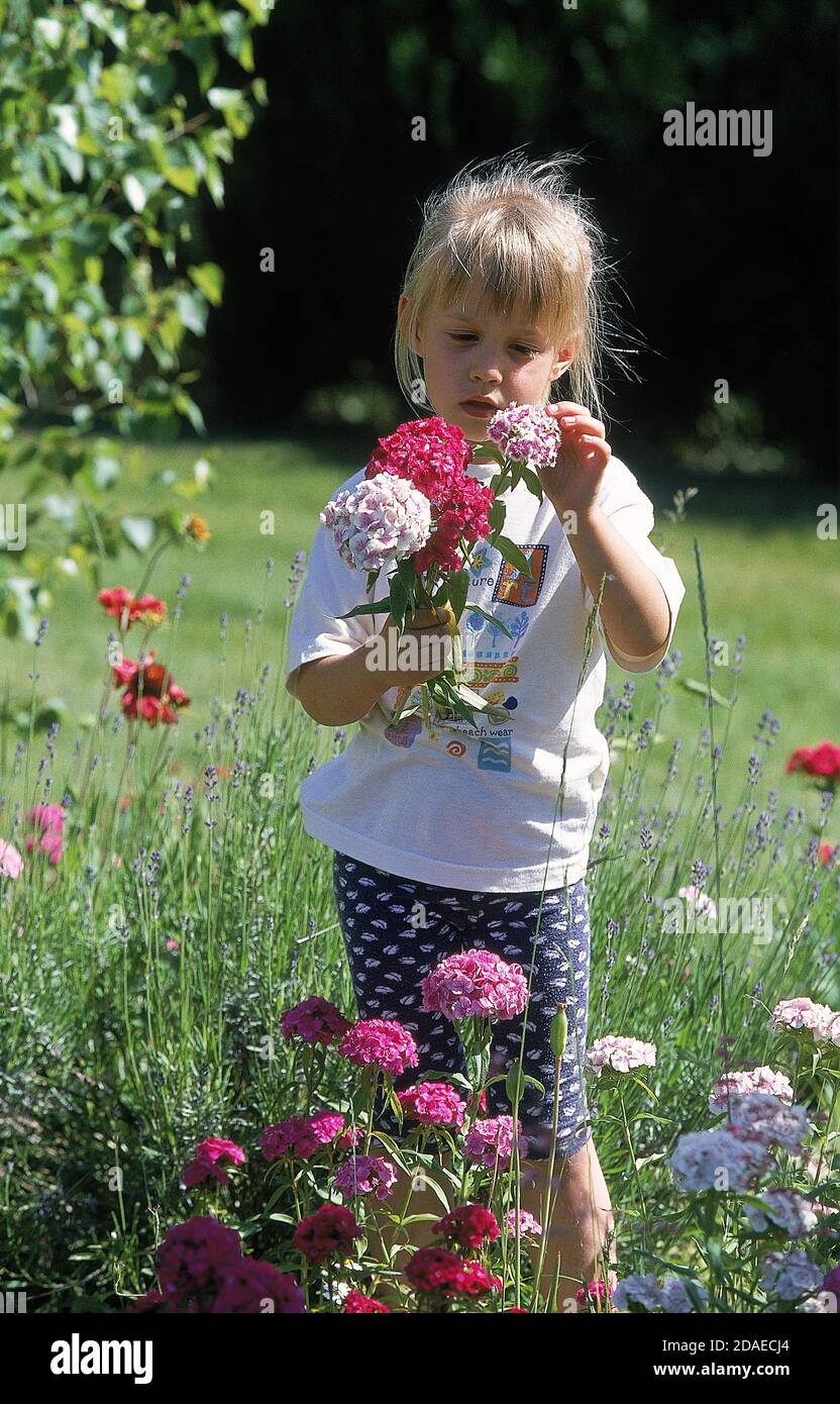 GIRL MAKING A BOUQUET OF FLOWERS WITH MARIGOLDS IN THE GARDEN Stock ...