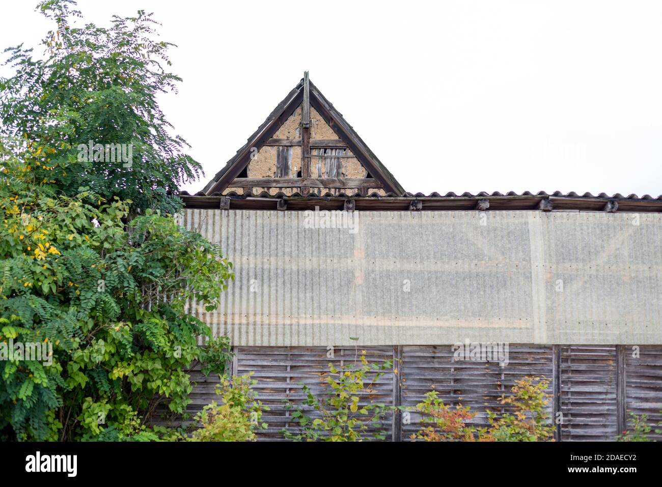 Old house roof, green bush Stock Photo - Alamy