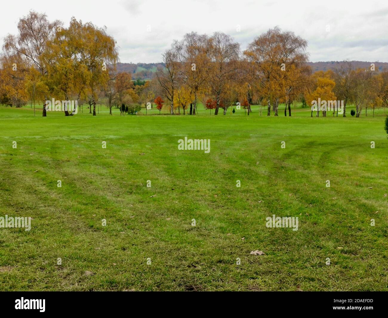 English country scene in autumn showing yellowing trees with copy space ...