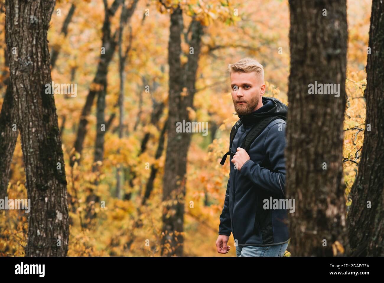 Guy walking in autumn forest hi-res stock photography and images - Alamy