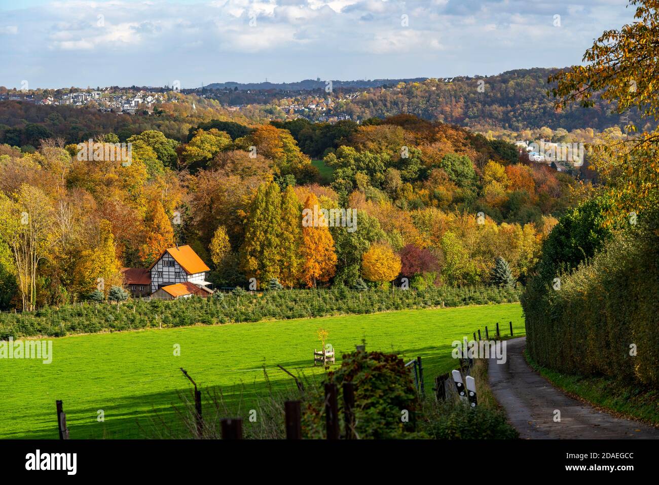Landscape in the south of Essen, Schuir district, hiking trail, part of ...