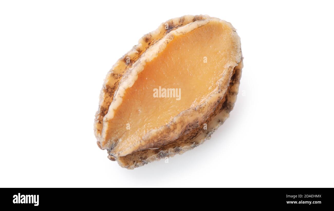 Close up of beautiful raw abalone seafood isolated on white background ...