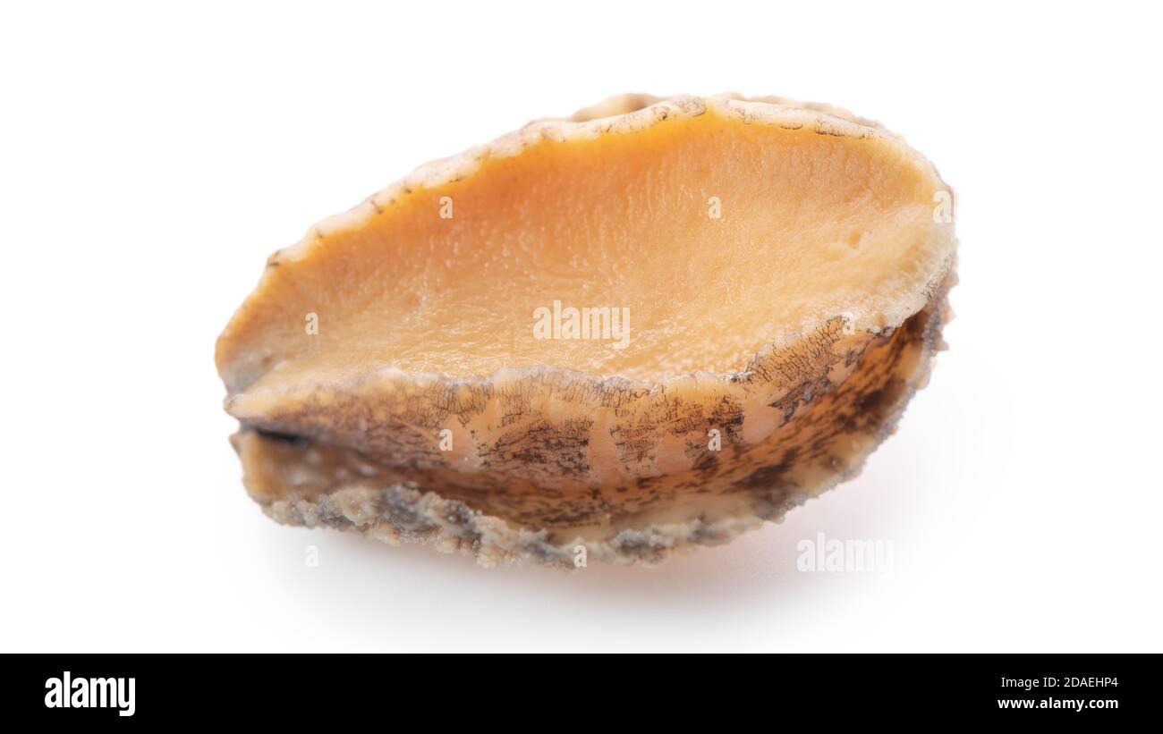 Close up of beautiful raw abalone seafood isolated on white background ...