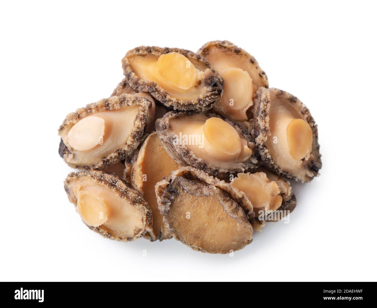 Close up of beautiful raw abalone seafood isolated on white background ...