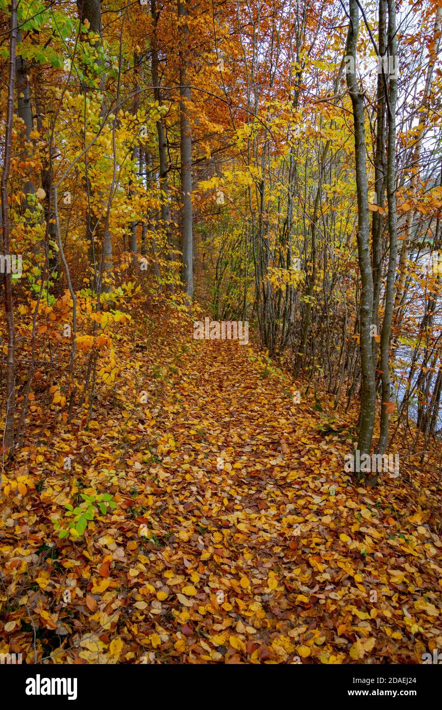 Magical pathway hi-res stock photography and images - Alamy