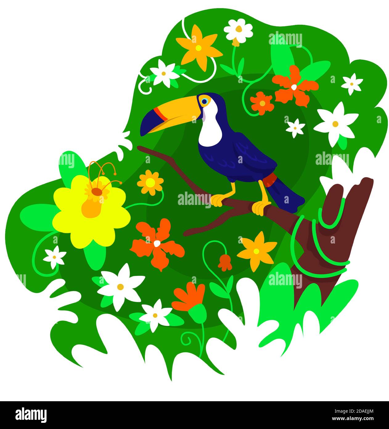 Amazon rainforest bird view Stock Vector Images - Alamy