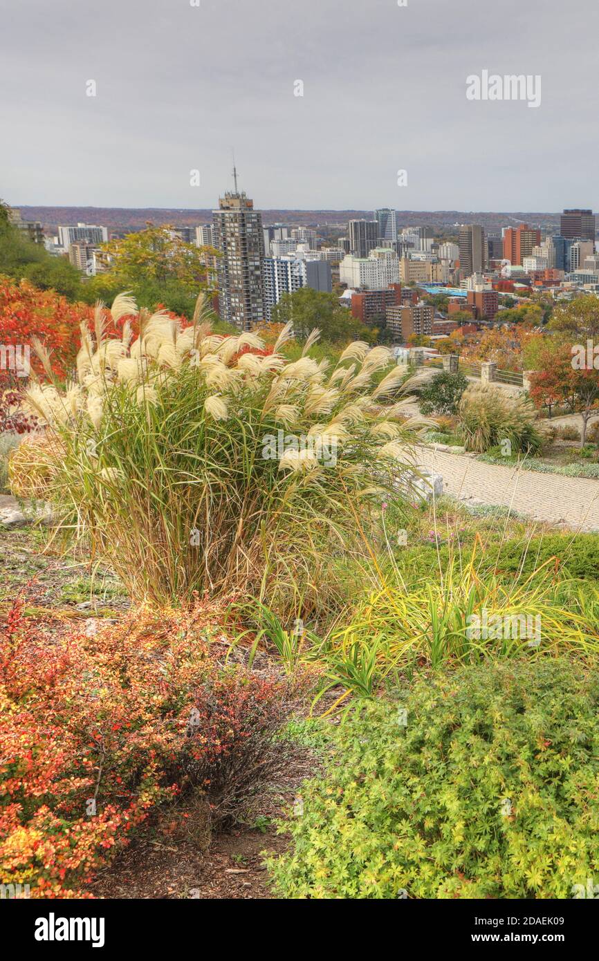Skyline city hamilton niagara escarpment hi-res stock photography and ...