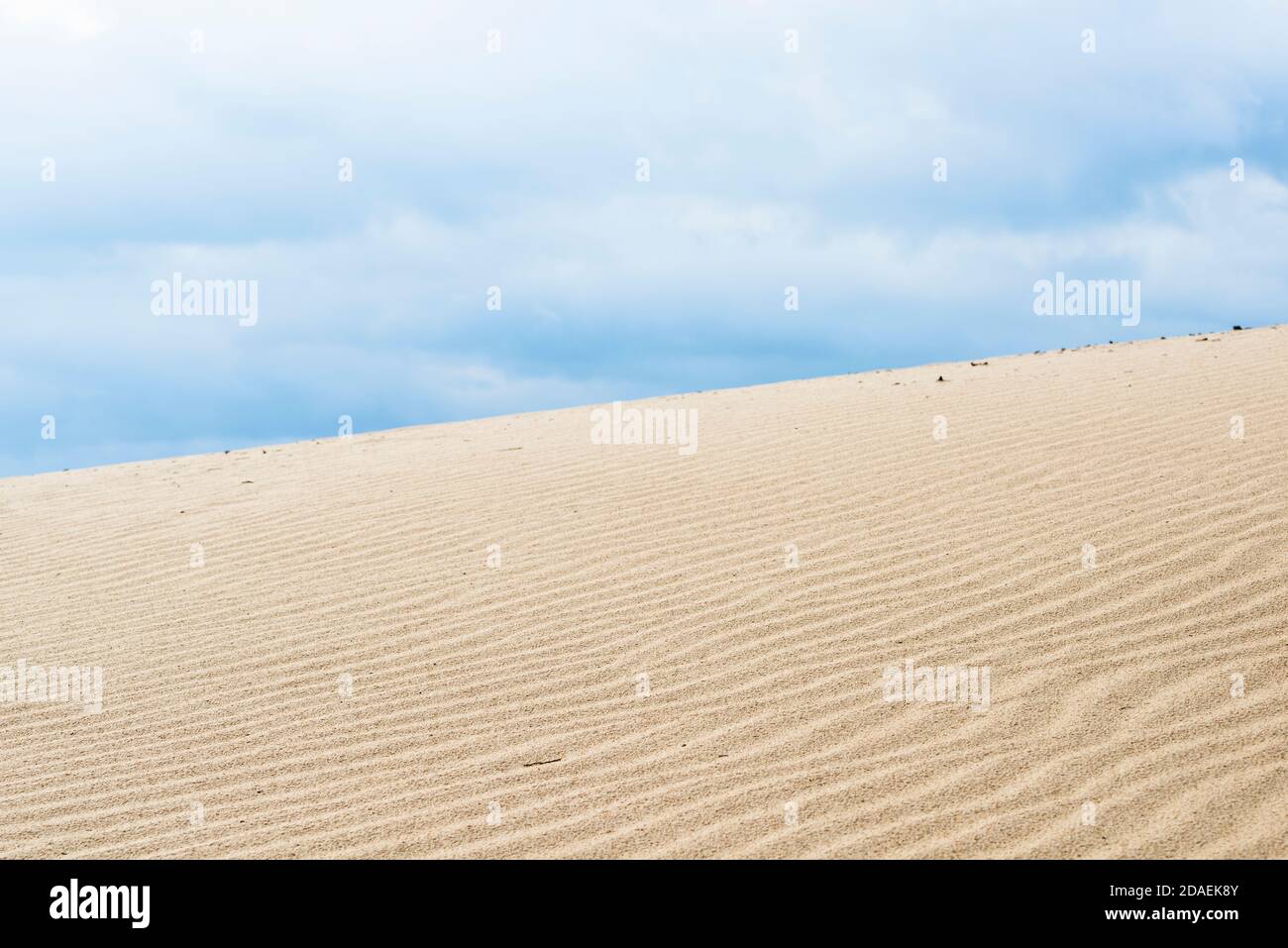 Sand desert plain hi-res stock photography and images - Alamy