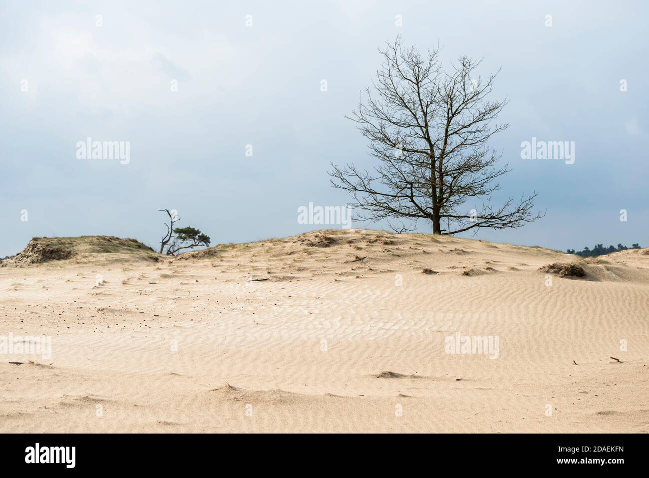 Drifting sand plain hi-res stock photography and images - Alamy