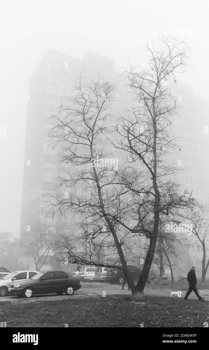 Foggy autumn morning in the city. Ecological concept. Deep fog on the ...