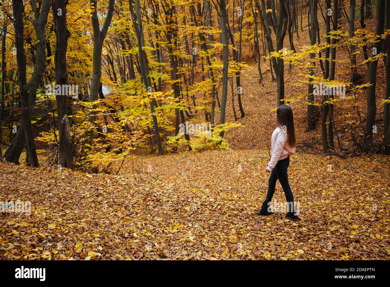 Back view of a young female in the autumn park Stock Photo - Alamy
