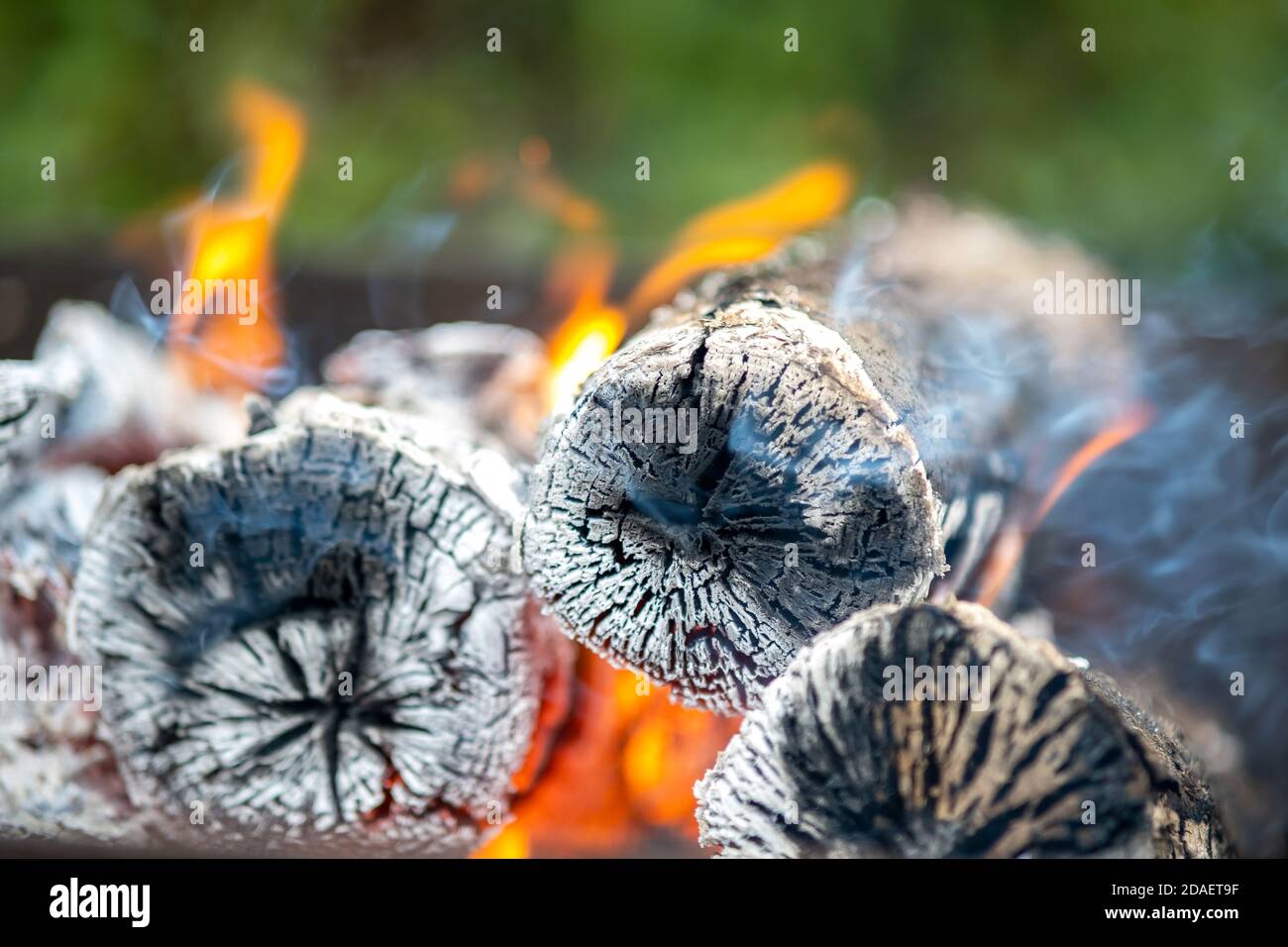 Close up of brightly burning wooden logs with yellow hot flames of fire ...