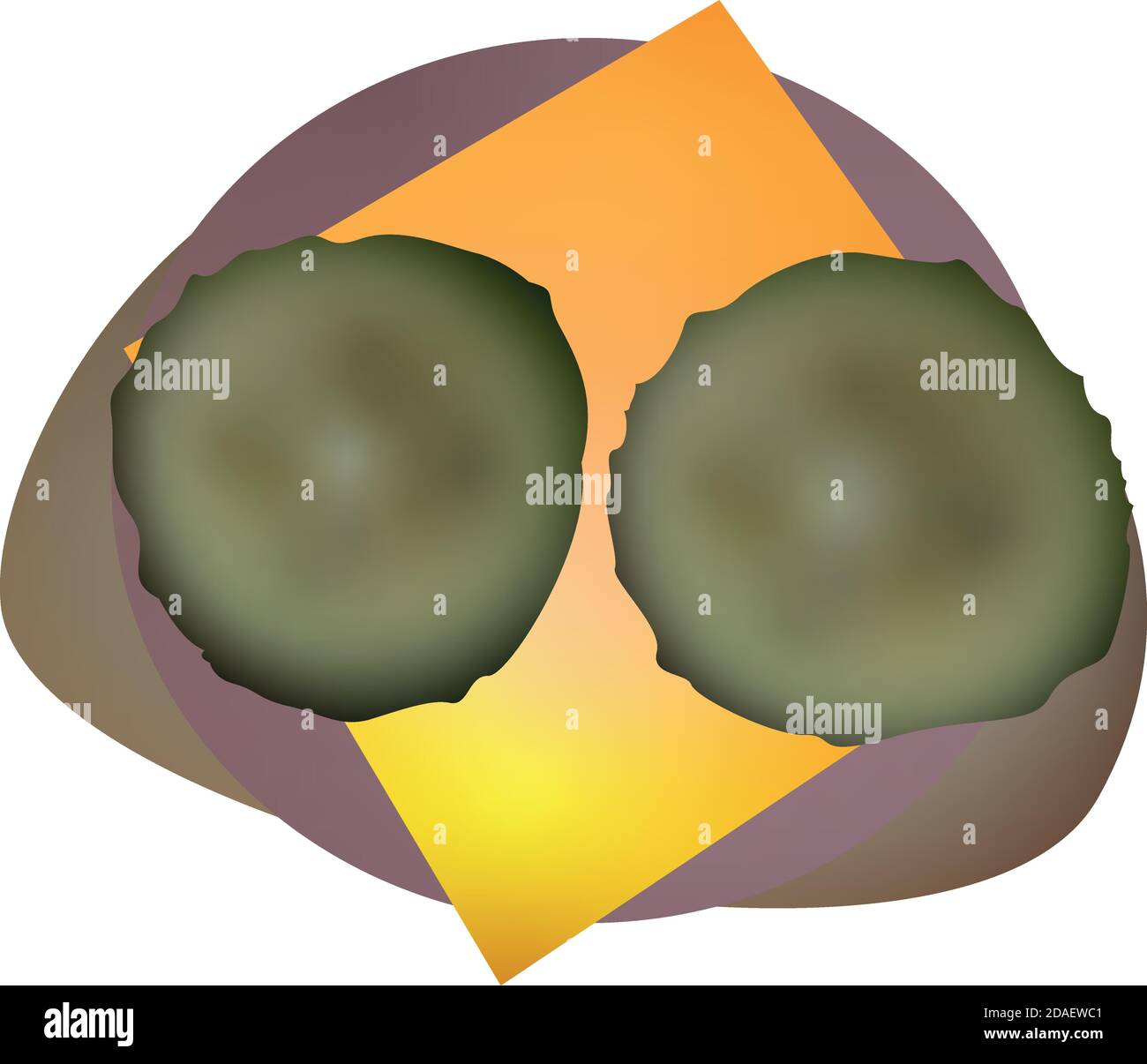 Sandwich Vector realistic. Fast food 3d detailed illustration Stock ...