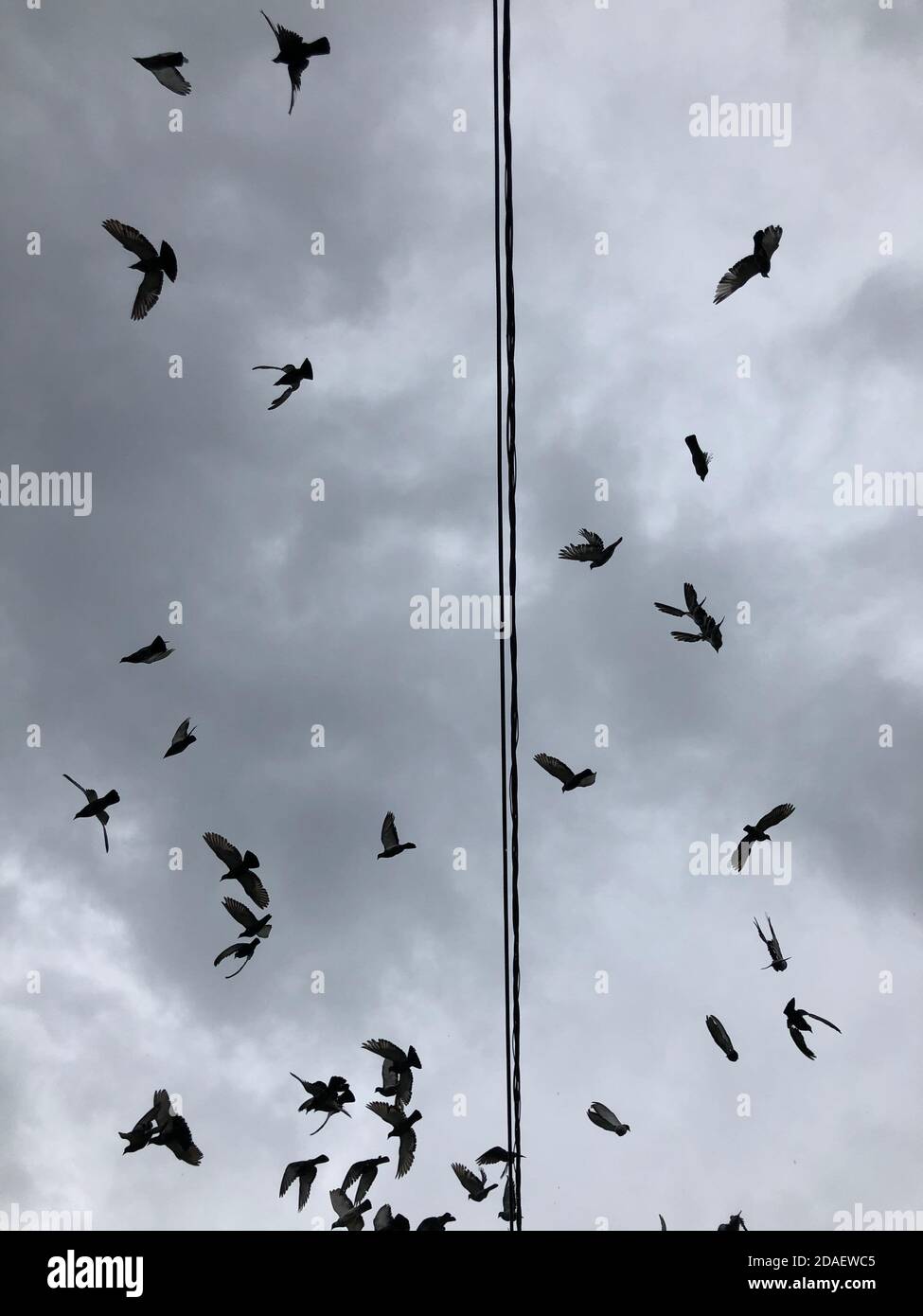 Flying by wire hi-res stock photography and images - Alamy