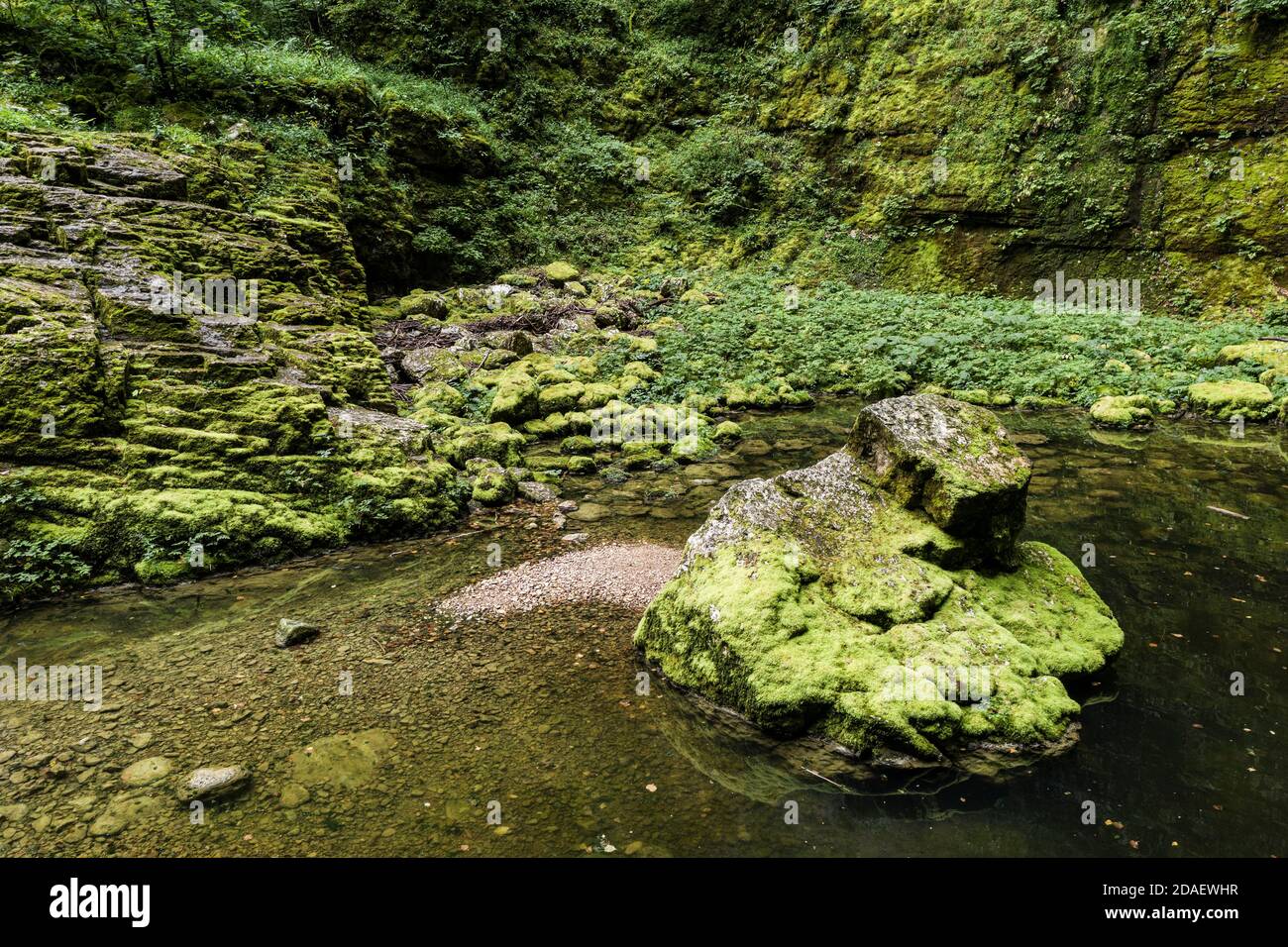 Cave lichen hi-res stock photography and images - Alamy
